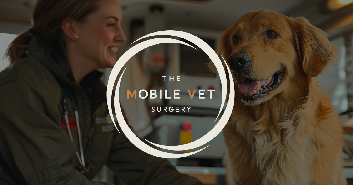 The Mobile Vet Surgery | Independent Vet In Your Community